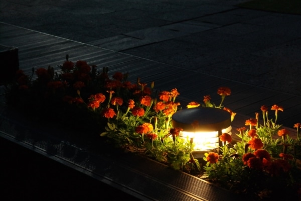 The 3 Best Low Voltage Landscape Lighting Options • Lightscapes